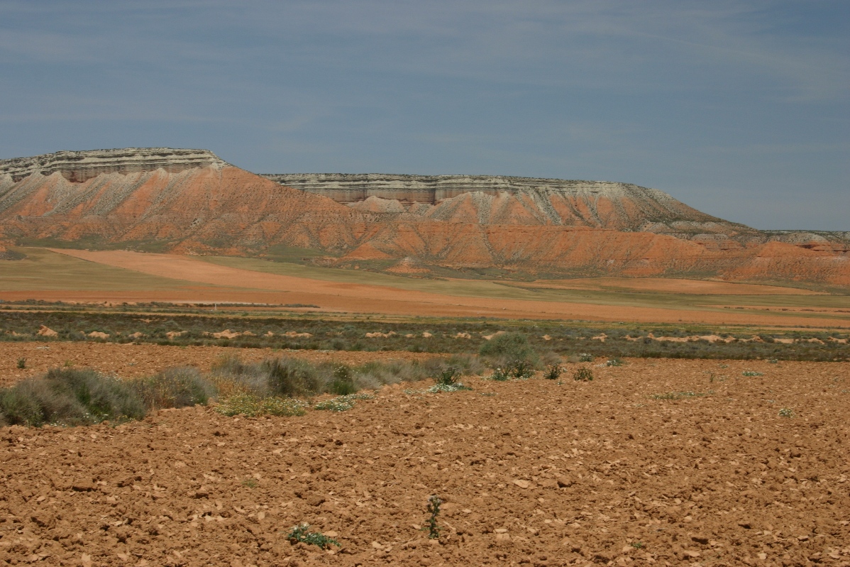 El INAGA exige un nuevo Plan Director de la Red Natura 2000 de Aragón ...